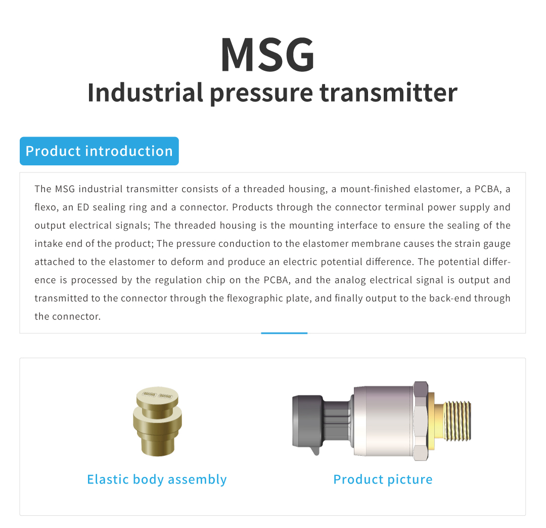 MSG Industrial pressure transmitter - 龙微科技